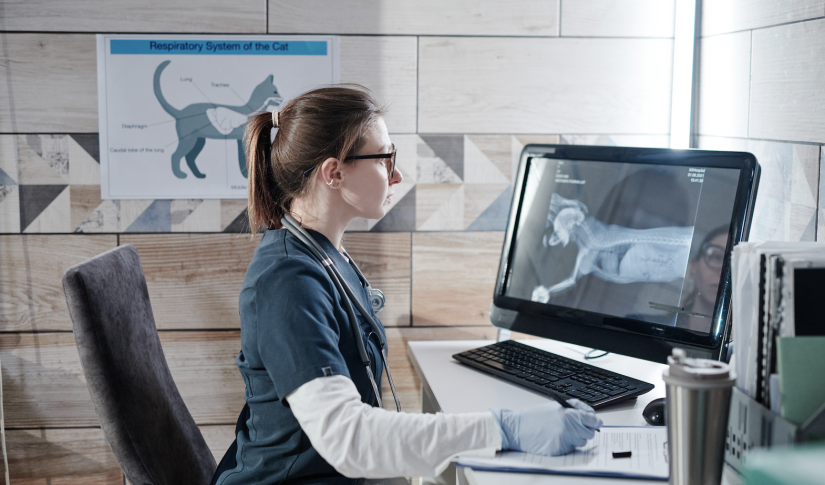 How to Modernize Veterinary Practice | IDEXX Software